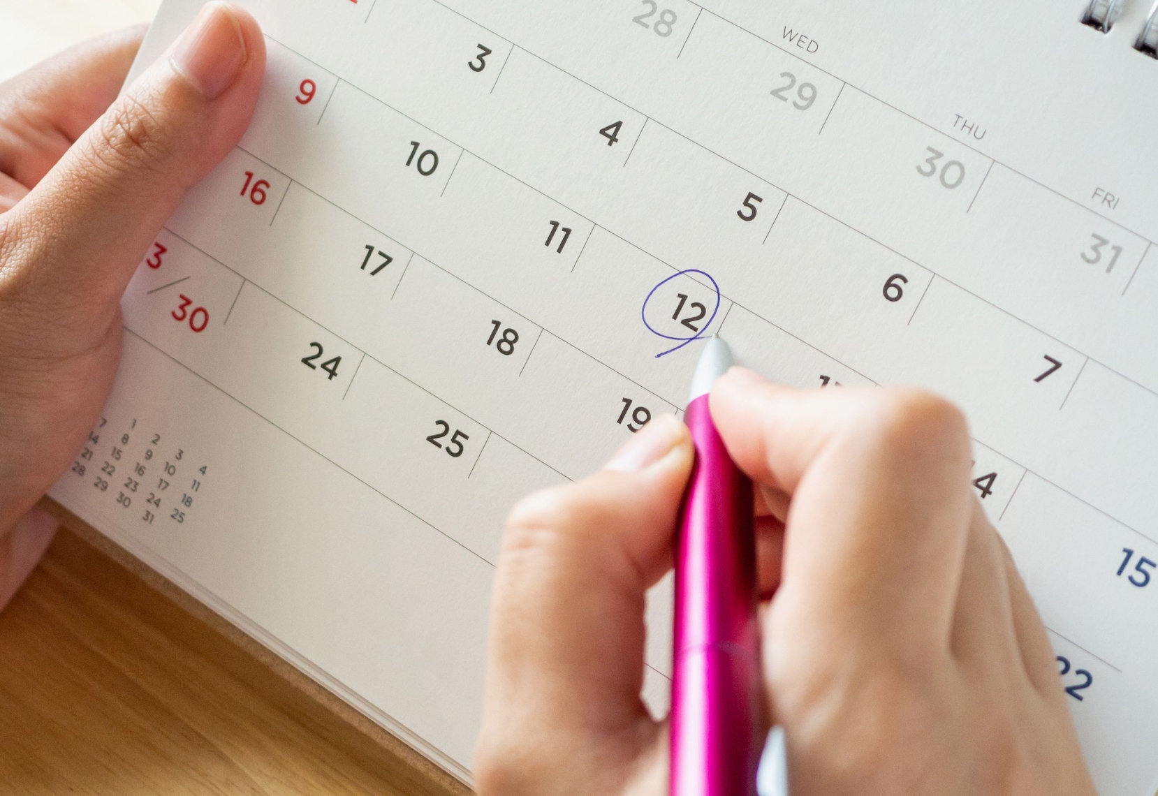 Student Ambassador Program – UC|CSU Collaborative